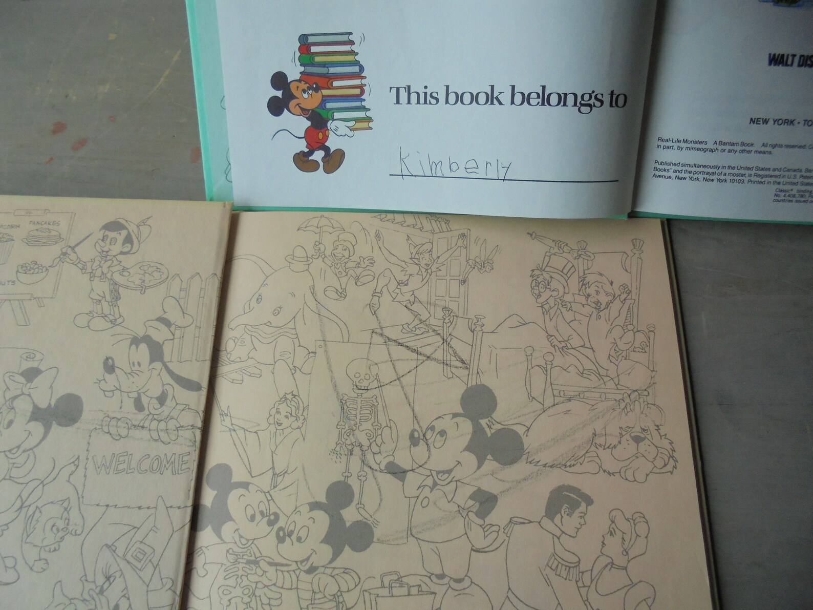 Walt Disney Fun-to-learn Library Book Collection Incomplete - Etsy