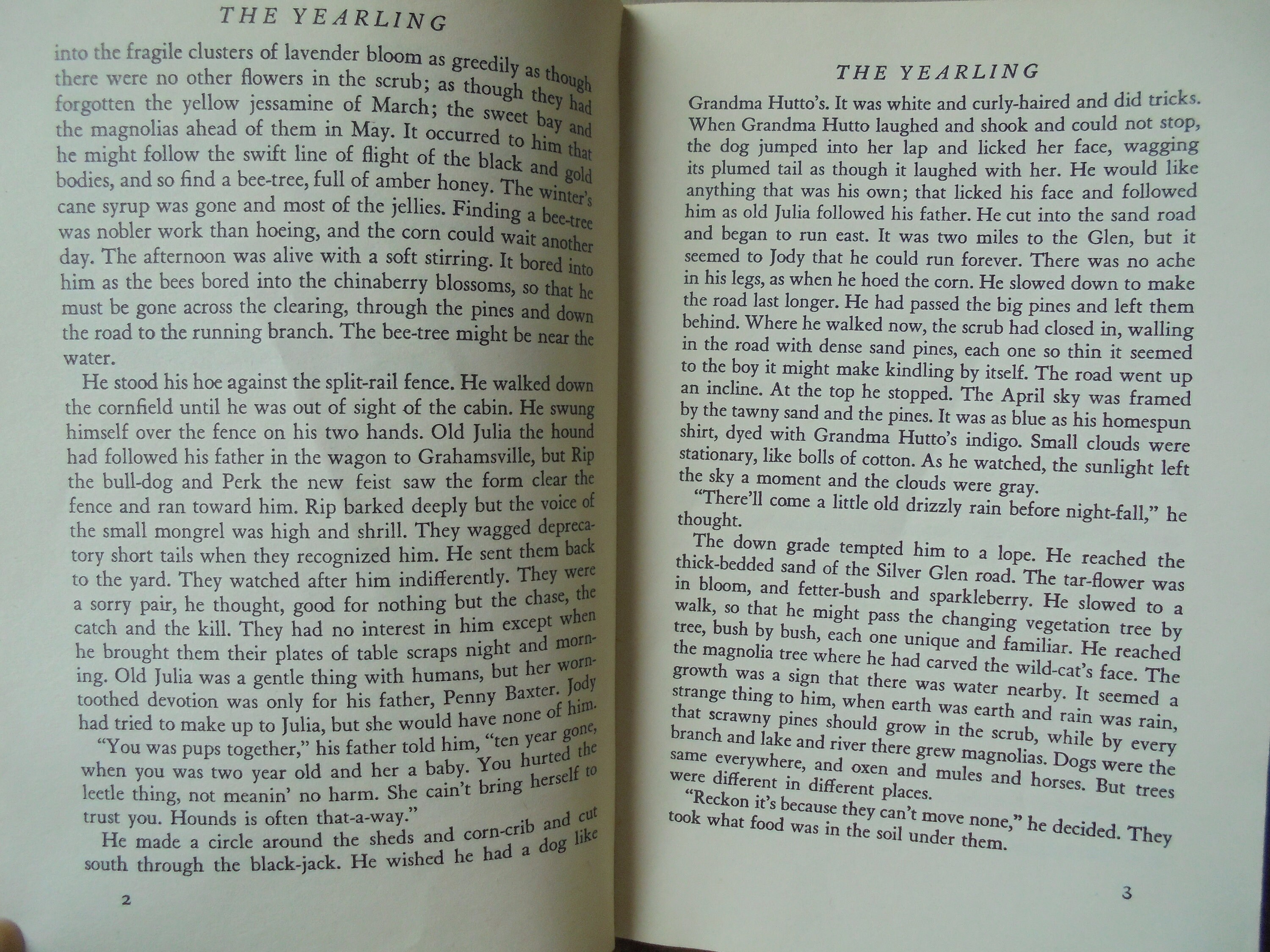 The Yearling by Marjorie Kinnan Rawlings Vintage Paperback - Etsy