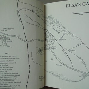 Living Free the Story of Elsa and Her Cubs by Joy Adamson, Vintage Blue ...