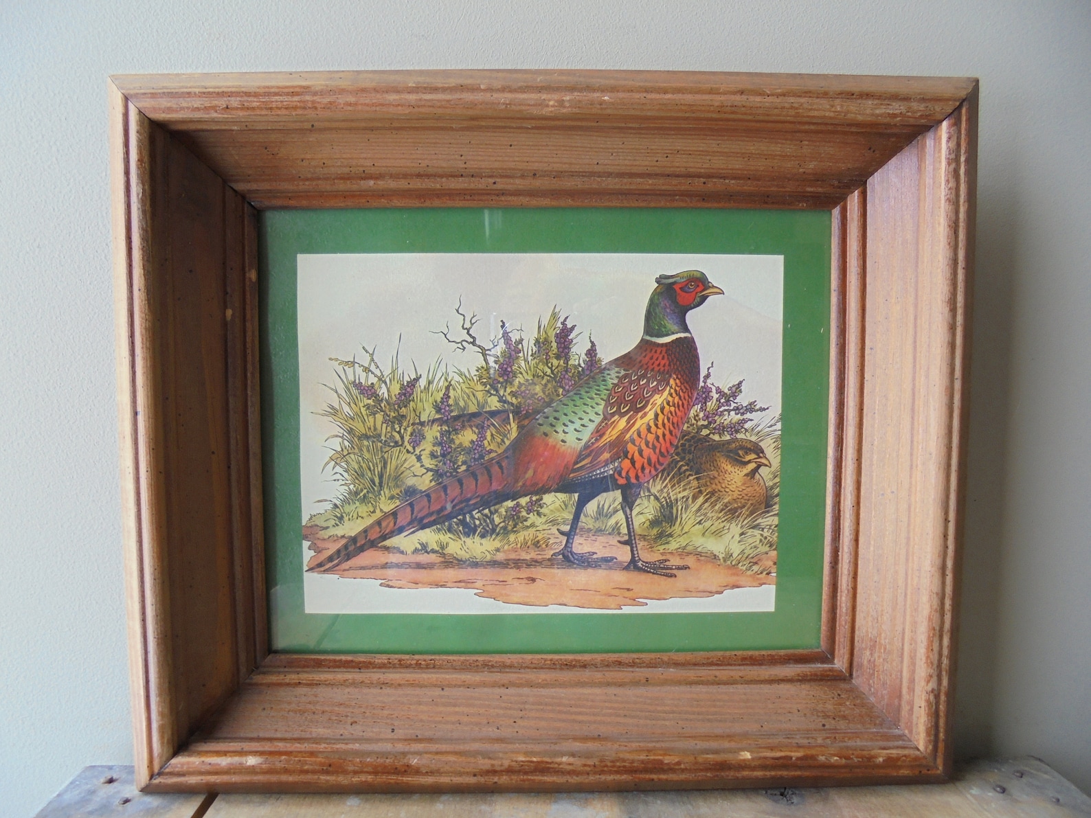 Vintage Ring Necked Pheasant Framed Print Wood Framed Bird - Etsy