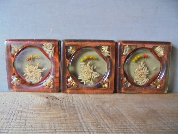 Vintage Coaster Set Three Vintage Coasters With Pressed | Etsy