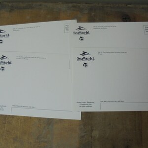 Seaworld Adventure Parks Postcard Collection, 12 Animal Photo Prints ...