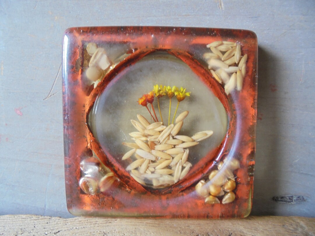 Vintage Coaster Set, Three Vintage Coasters With Pressed Flowers ...