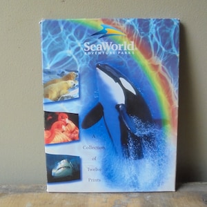 Seaworld Adventure Parks Postcard Collection, 12 Animal Photo Prints ...