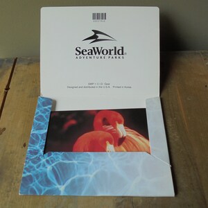 Seaworld Adventure Parks Postcard Collection, 12 Animal Photo Prints ...