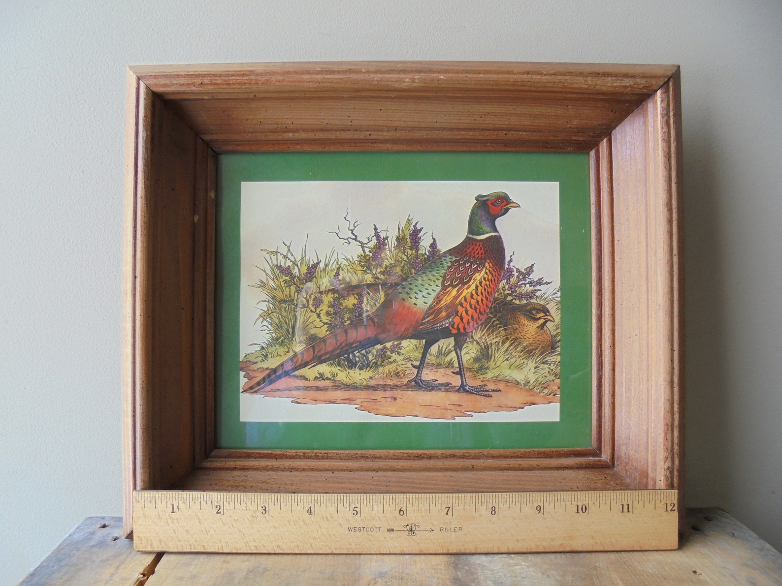 Vintage Ring Necked Pheasant Framed Print Wood Framed Bird - Etsy