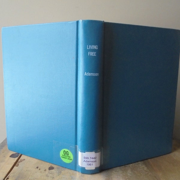 Library and the Blue Bird Book - Etsy