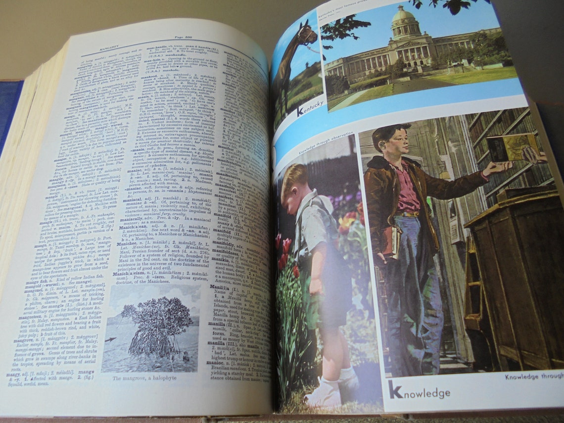 The Little & Ives Webster Dictionary and Home Reference - Etsy