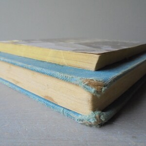 The Stroy of Madame Curie by Alice Thorne, Vintage Hardcover Book ...