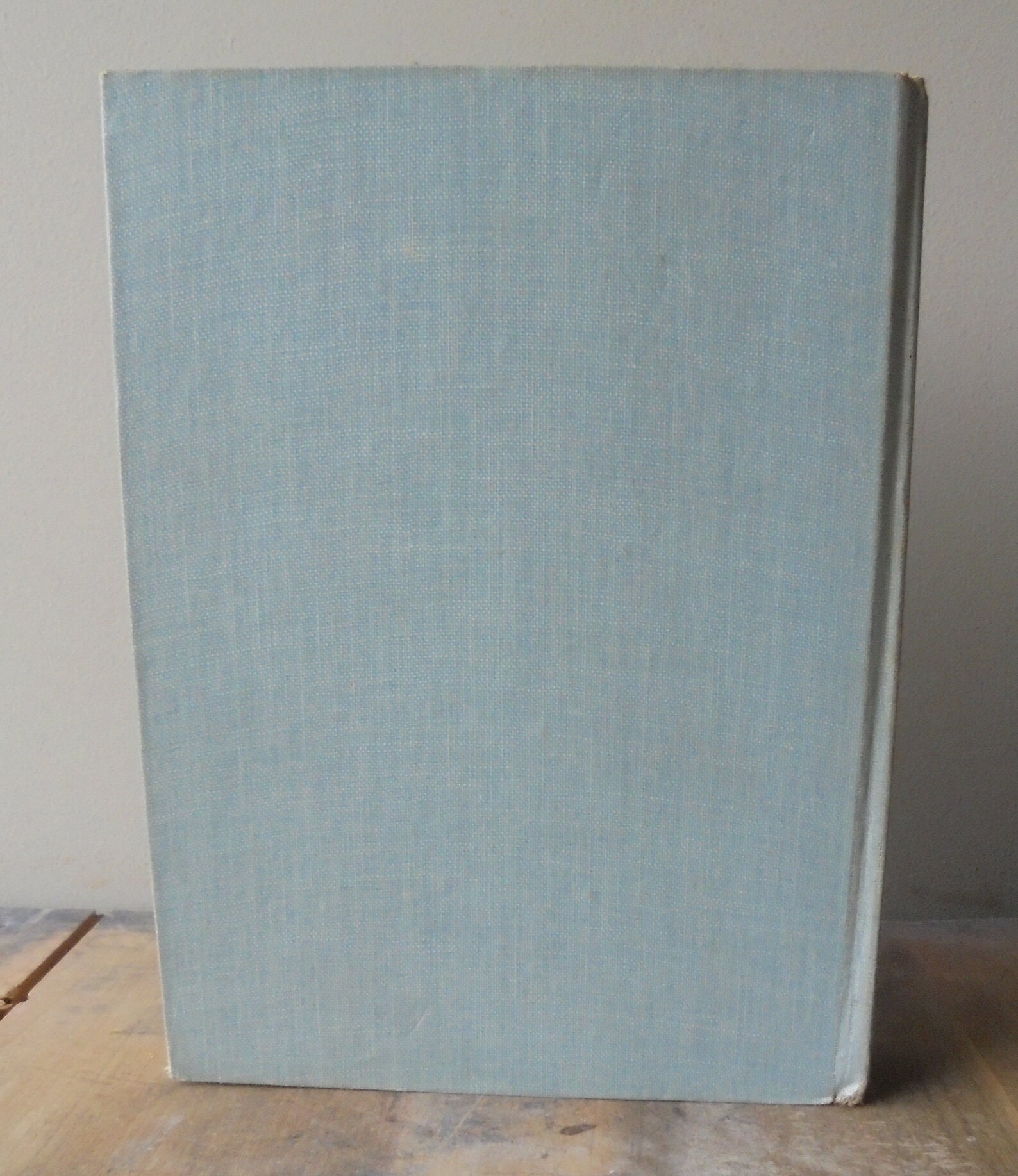 Hans Brinker by Mary Mapes Dodge Illustrated by Alice Carsey - Etsy