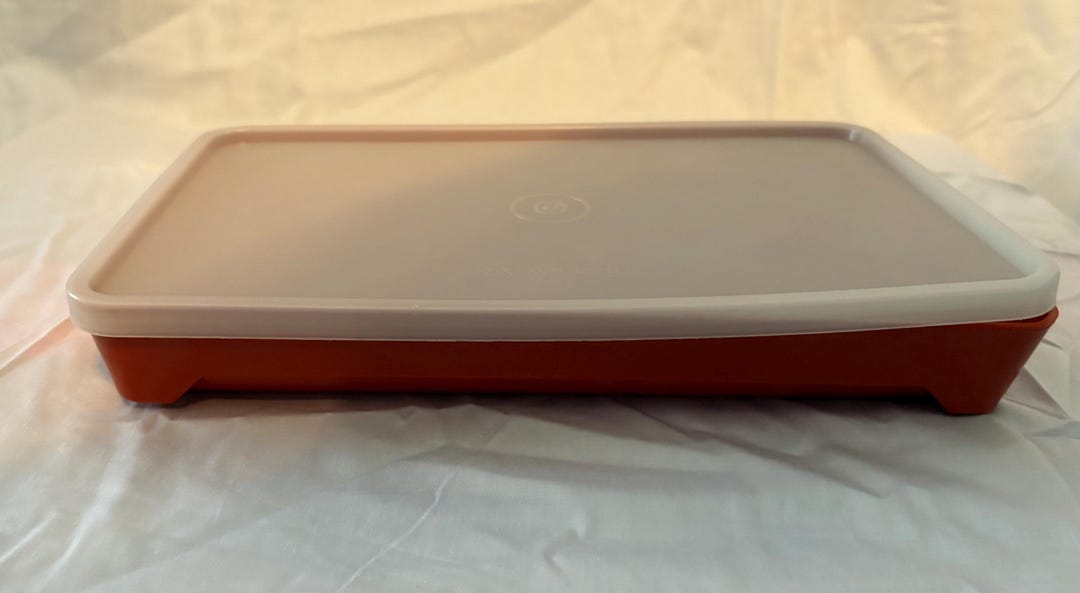 Tupperware Hot Dog Container in Paprika - Etsy