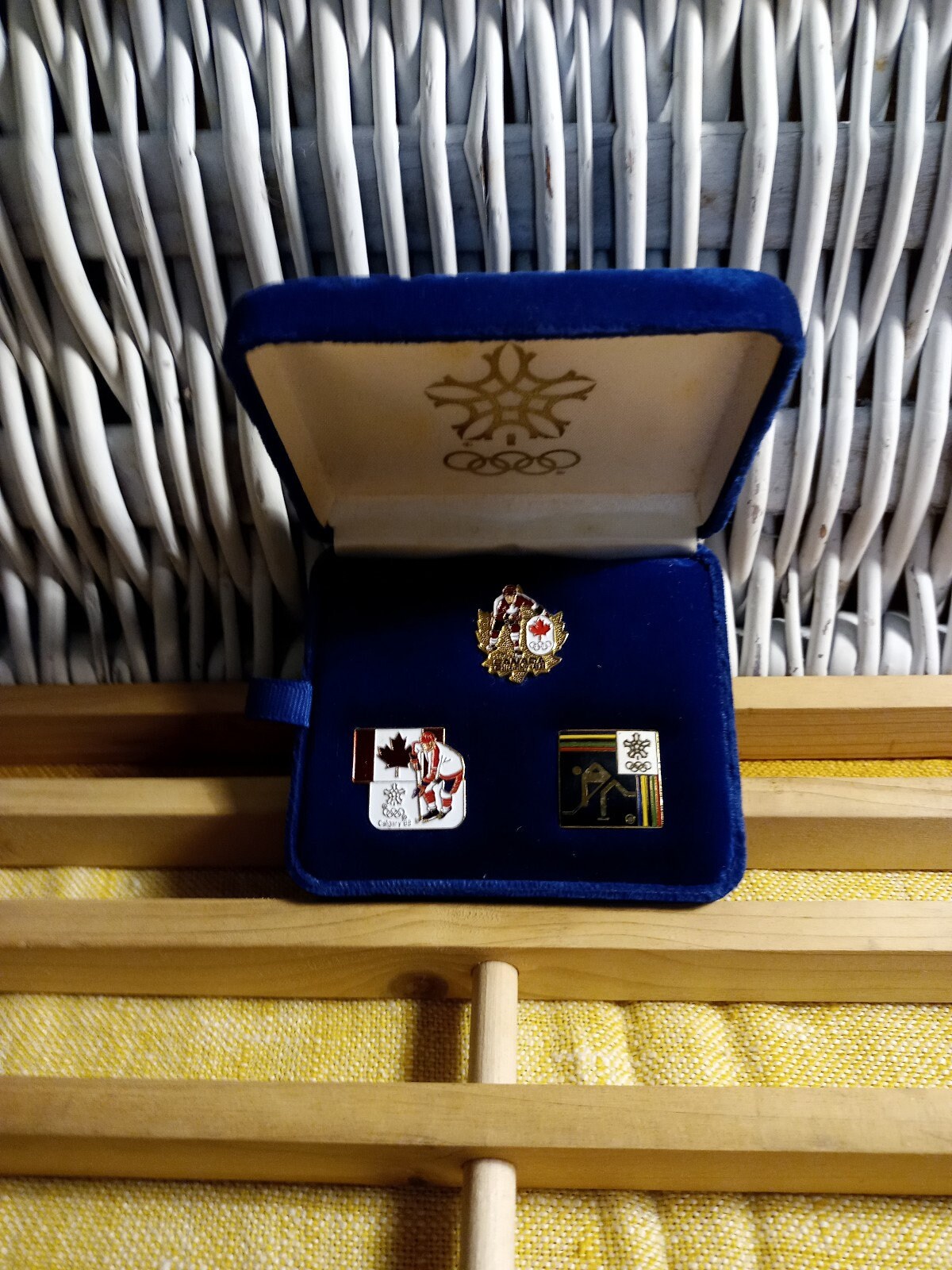 1988 Calgary Winter Olympics Collector Set of Team Canada Hockey Pins ...