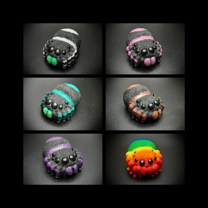 MINI Jumping Spider Preorder - Etsy