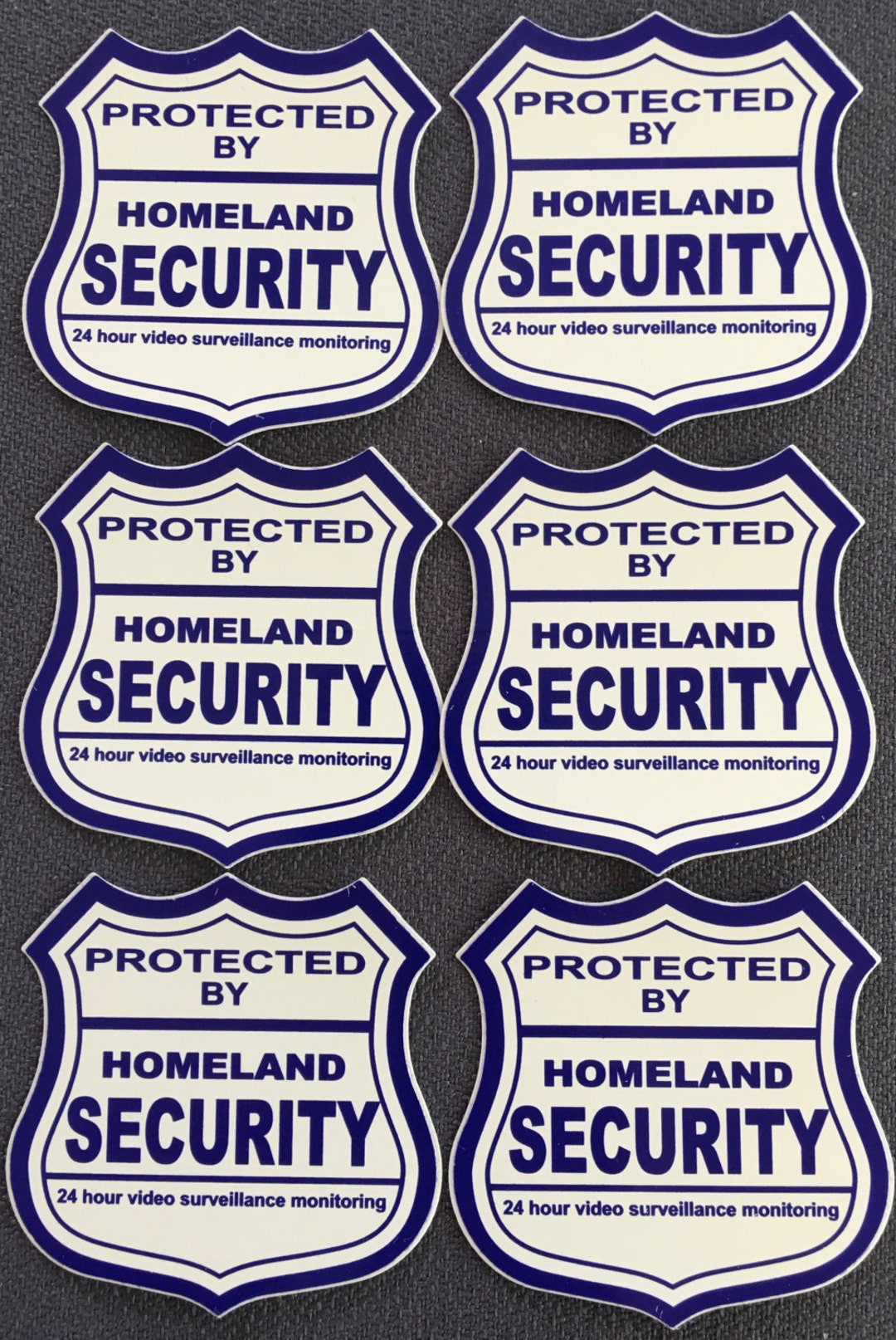 6 HOMELAND Security System Decals - Etsy