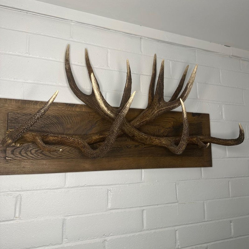 Antler Wall Rack - Etsy