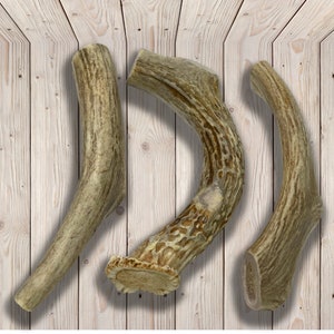 3 Pack-large Deer Antler for Dogs, All Natural Antler Dog Chews Organic ...