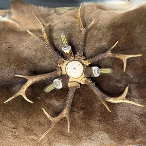 Rustic Red Stag Antler Celling Lamp - Etsy