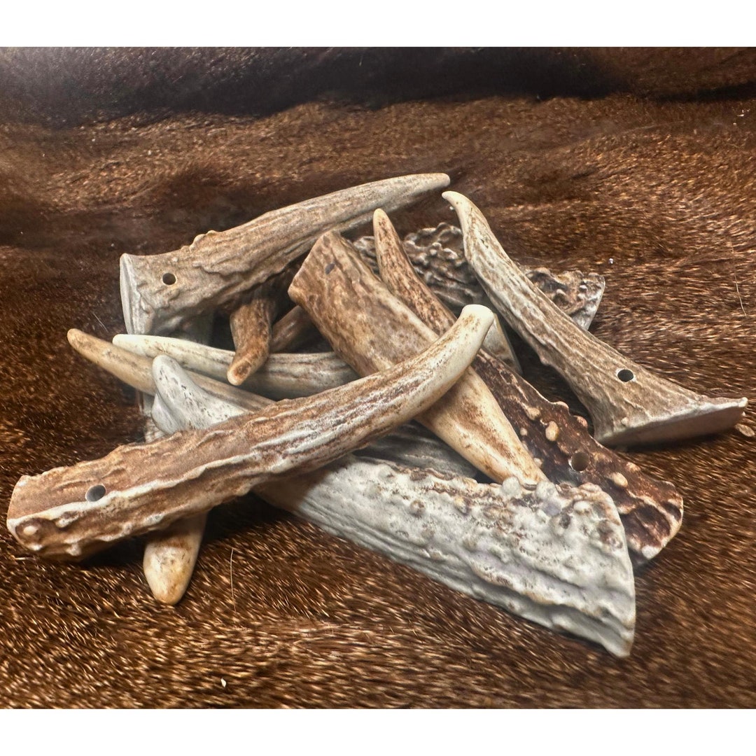Drilled Antler Gnarly Tips, Pendants, Brow Tines - Choose Size ...