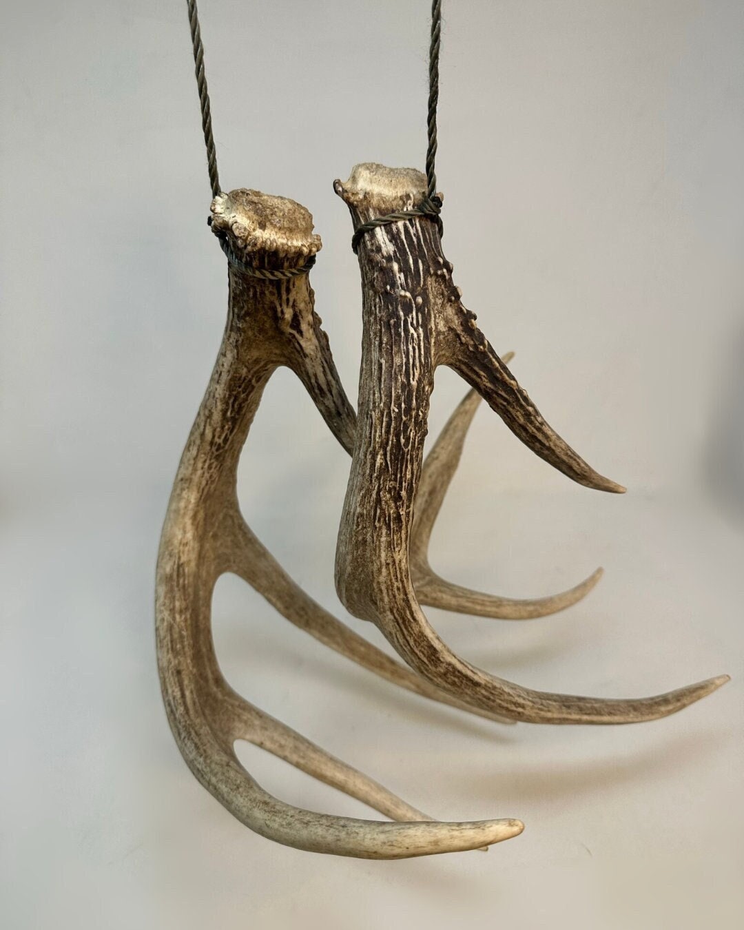 8-point Whole Antler Set Premium Natural Deer Antler Rack, Rustic Home ...