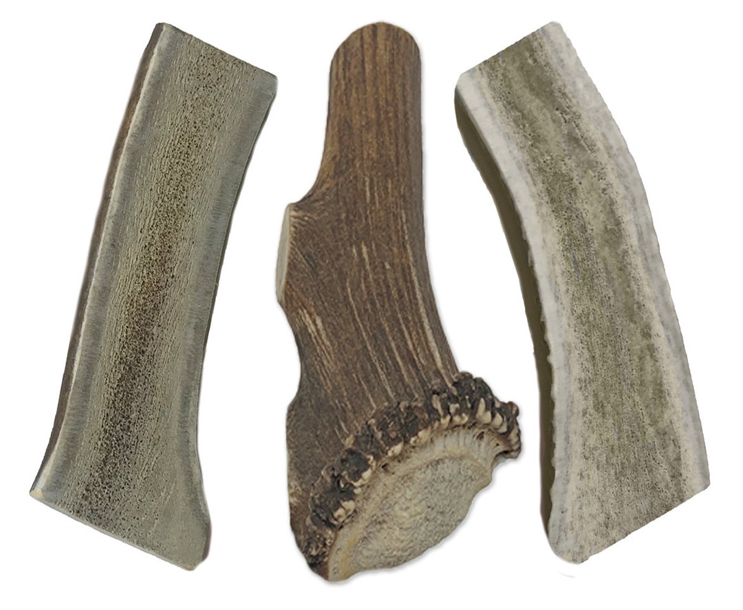 3 Pack- LARGE Split Elk Antler for Dogs, All Natural Dog Chew ...