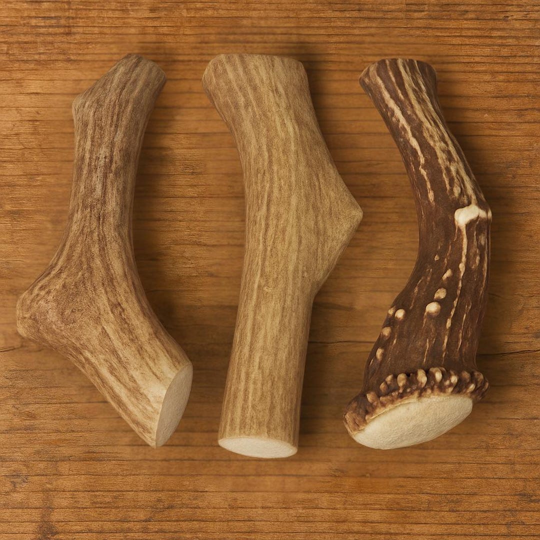 3 Pack-large- Deer Antler for Dogs, All Natural Antler Dog Chews ...