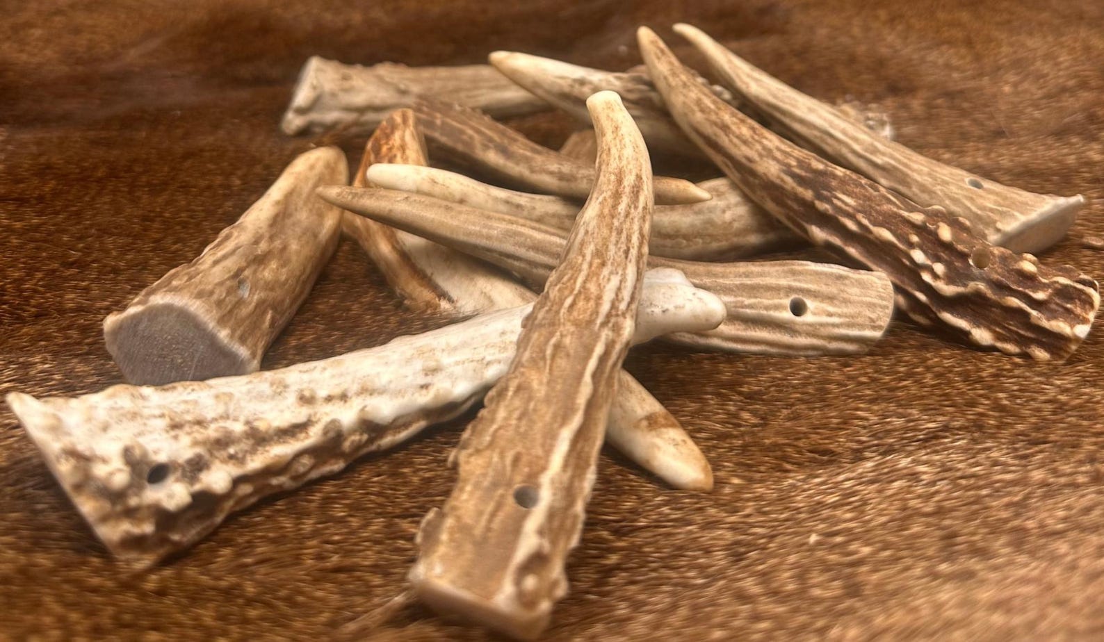 Drilled Antler Gnarly Tips, Pendants, Brow Tines - Choose Size ...