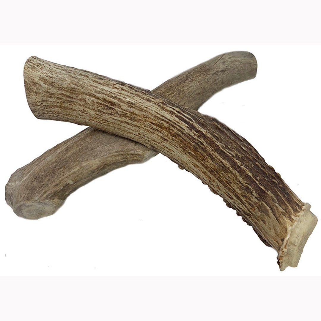 2 Pack LARGE Deer Antler for Dogs, All Natural Dog Chews Cruelty Free ...