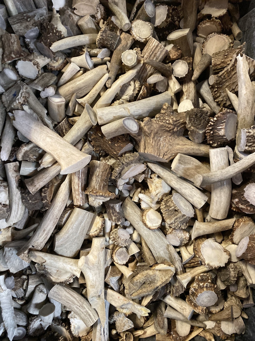 10 Lbs-deer Bulk Deer Elk Antler Scraps Pieces tips-chunks chinese ...