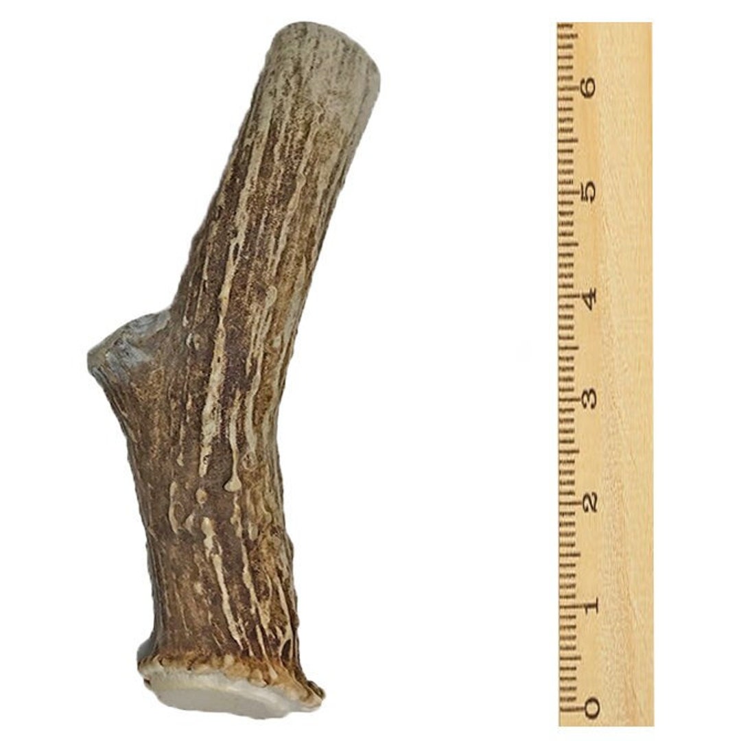 LARGE- Deer Antler for Dogs- Organic Antler Dog Chew - Grade A ...