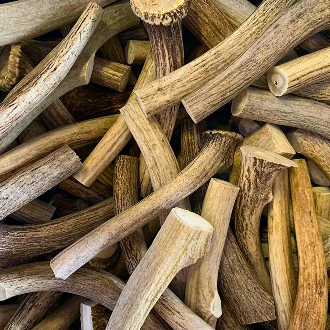 Bulk Axis Deer Antler Pieces for Knife Skin Handles and Aggressive Dog ...