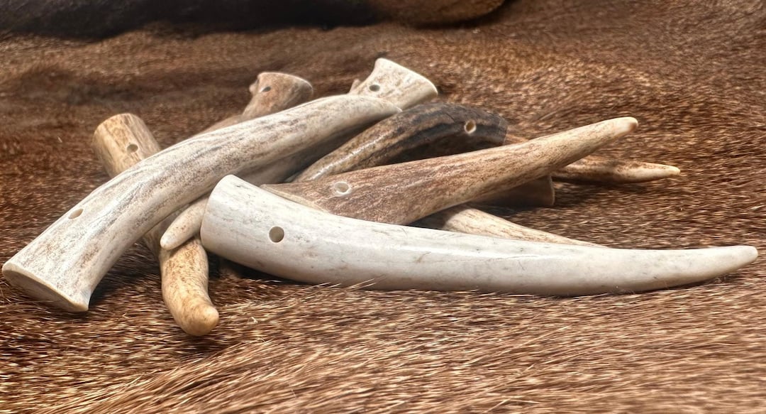 Drilled Antler Tips, Polished Pendants, DIY Jewelry Making - Etsy