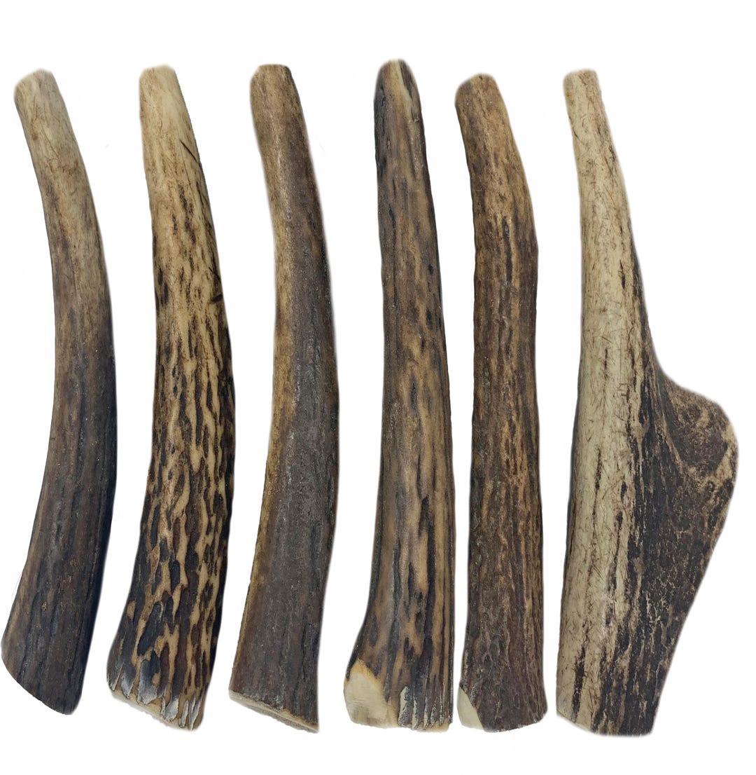 6 Pack-small to Medium Deer Antler for Dogs, All-natural Dog Chew ...