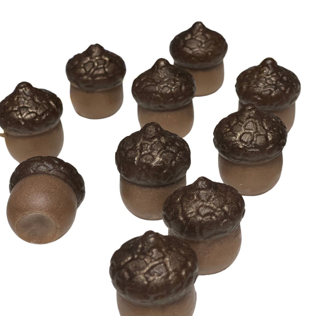 Soap Embeds, Acorn Soap Embeds, Acorn Embeds, 3D Acorn Soap Embeds - Etsy
