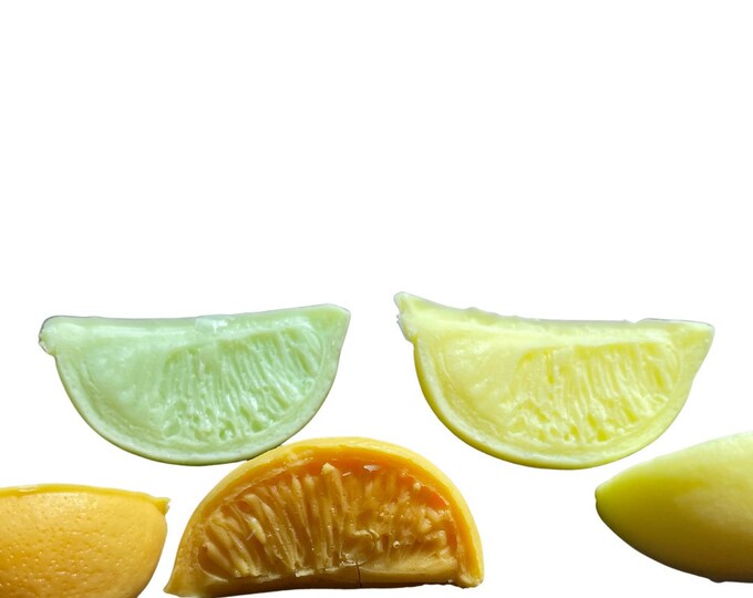 WAX Citrus Wedge Embeds, Citrus Wax Embeds, Unscented Wax Embeds for ...