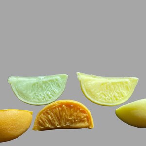 WAX Citrus Wedge Embeds, Citrus Wax Embeds, Unscented Wax Embeds for ...