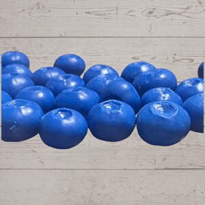 WAX Blueberry Embeds Unscented Blueberry Wax Embed Embeds - Etsy
