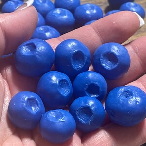 WAX Blueberry Embeds Unscented Blueberry Wax Embed Embeds - Etsy