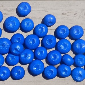 WAX Blueberry Embeds Unscented Blueberry Wax Embed Embeds - Etsy
