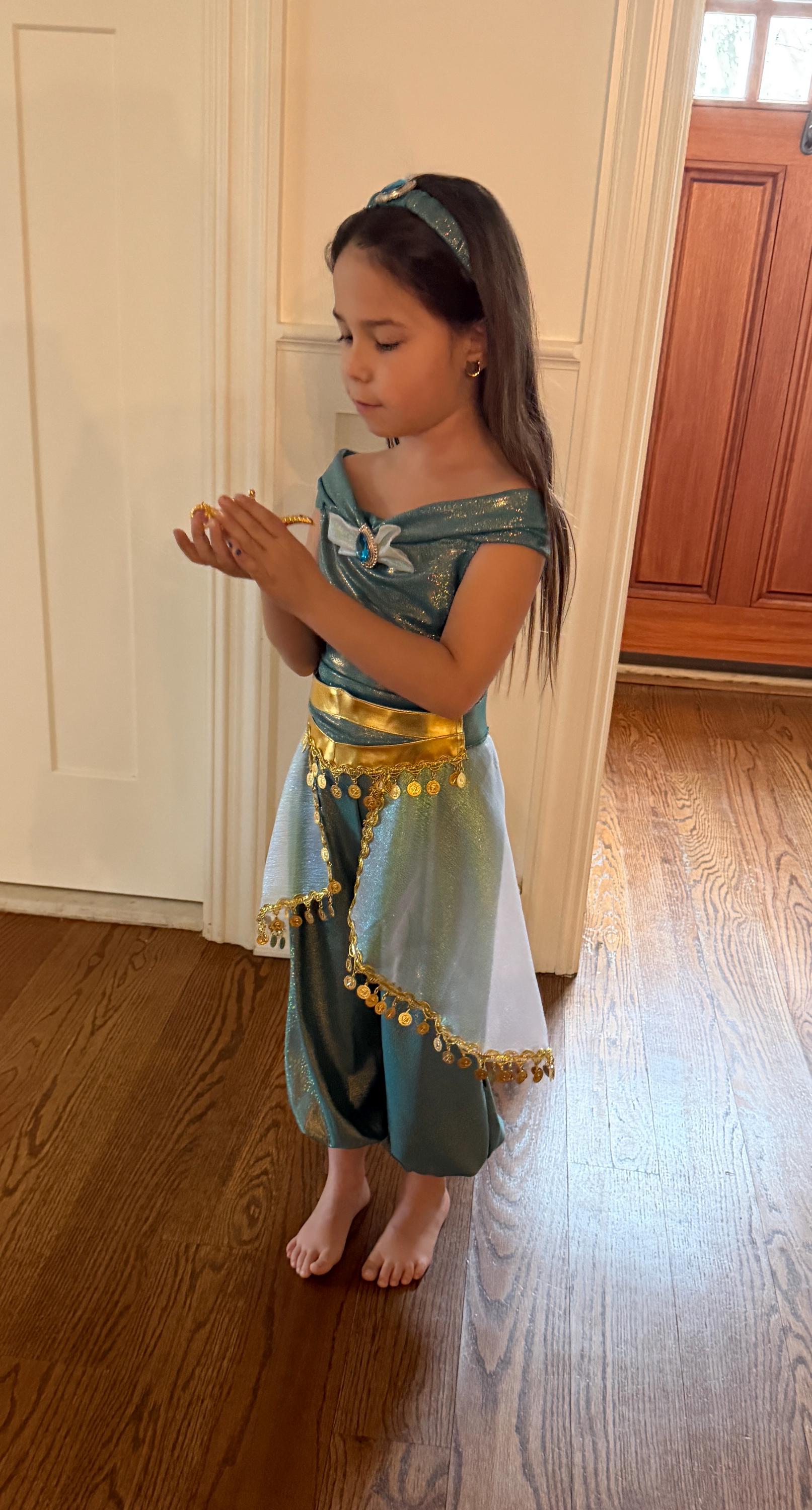 Prinzessin Jasmin Kostm