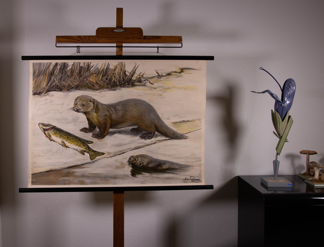 Vintage Pull Down Chart Otter School Chart - Etsy