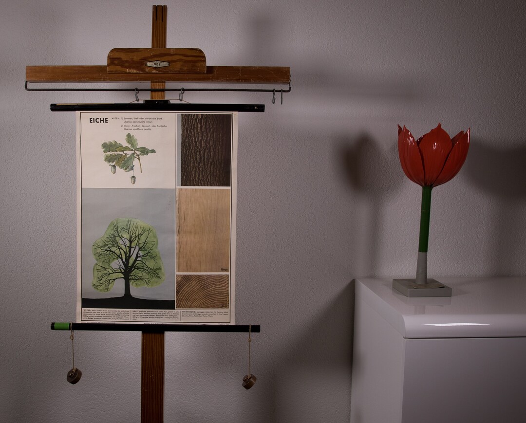 Vintage Pull Down Chart Oak School Chart - Etsy