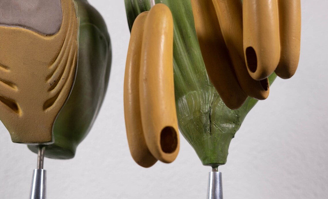 Vintage Botanical Model of Maize these Models Used for - Etsy