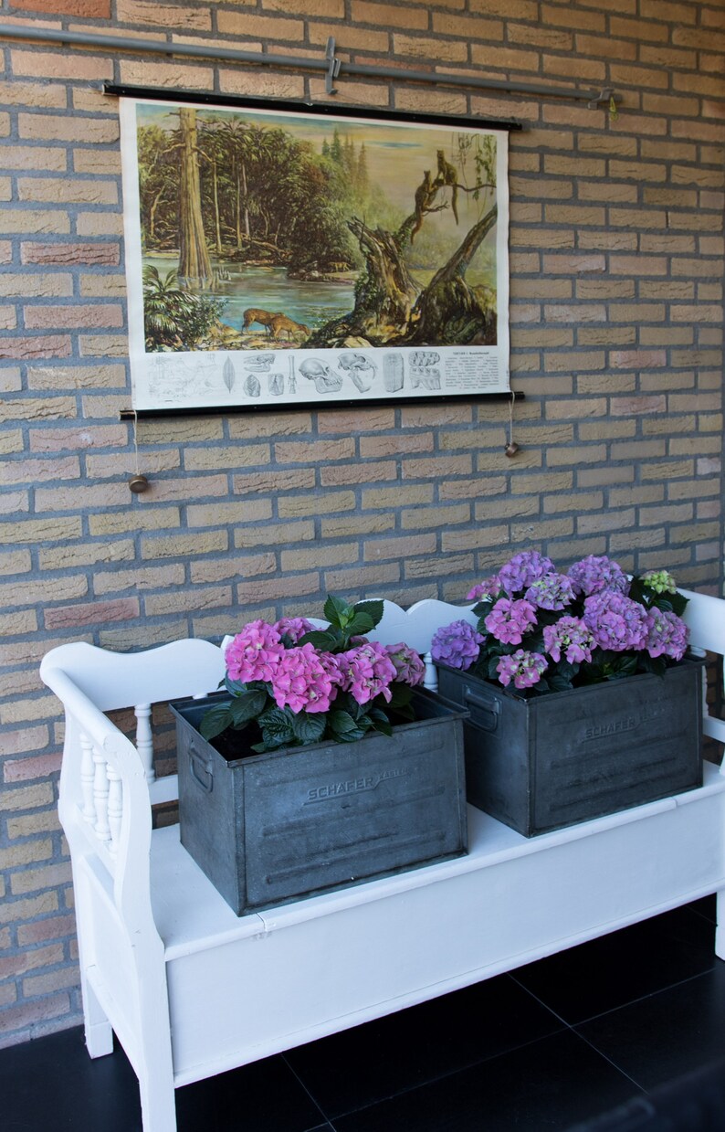 Vintage Pull Down Chart Tertiar I School Chart - Etsy