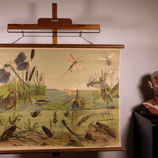 Pull Down Map - Etsy