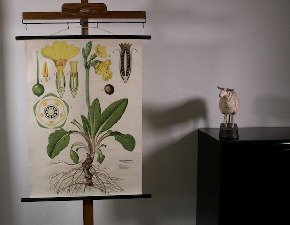 Pull Down Chart Primrose School Chart - Etsy