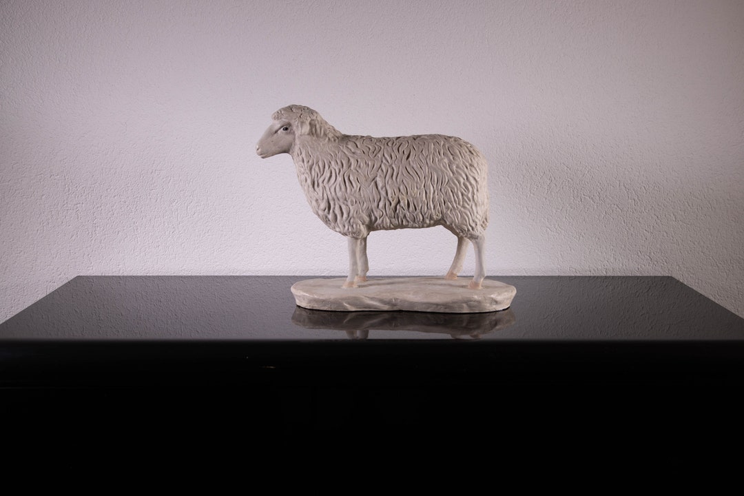 Vintage Model of the Female Sheep, Used for Educational Classroom ...