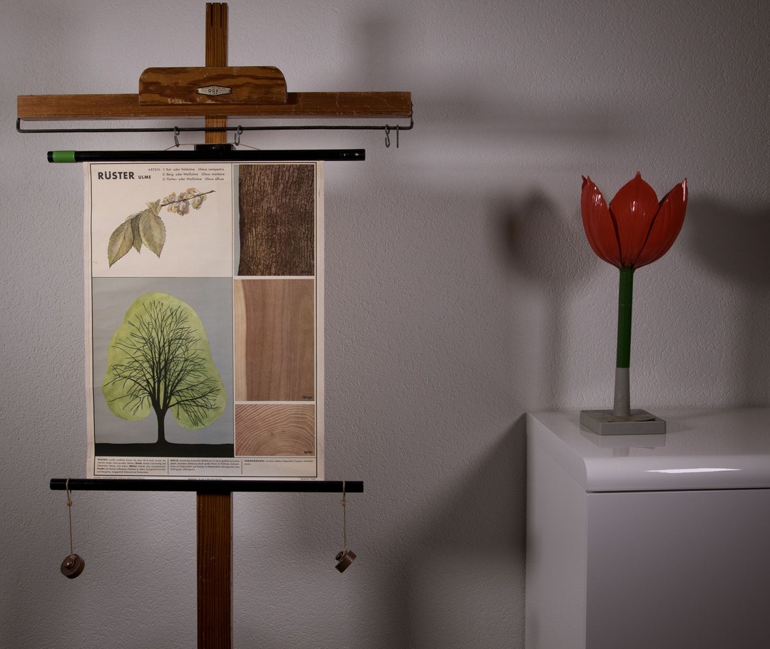 Vintage Pull Down Chart Elm School Chart - Etsy