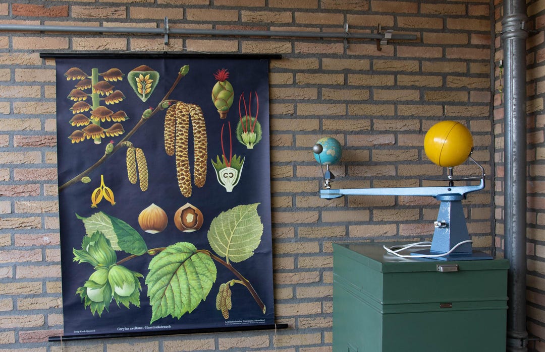 Vintage Pull Down School Chart Hazel Jung Koch Quentell Lithograph - Etsy