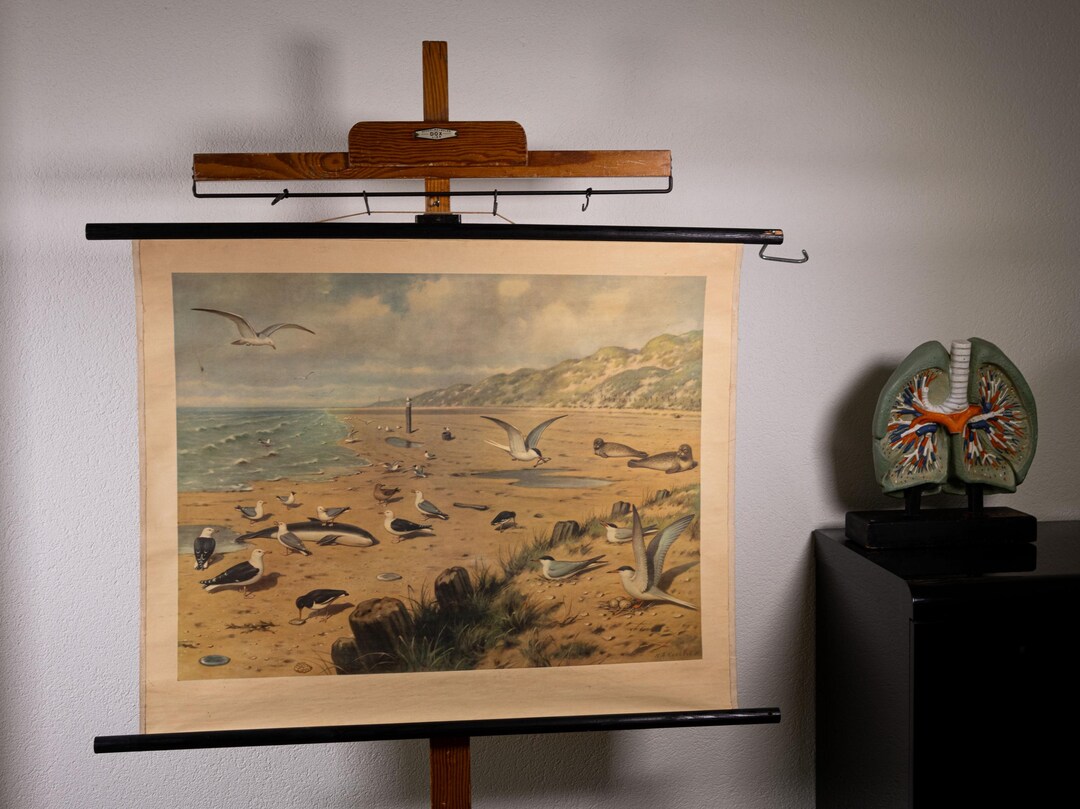 Vintage Pull Down Chart on the Beach School Chart - Etsy