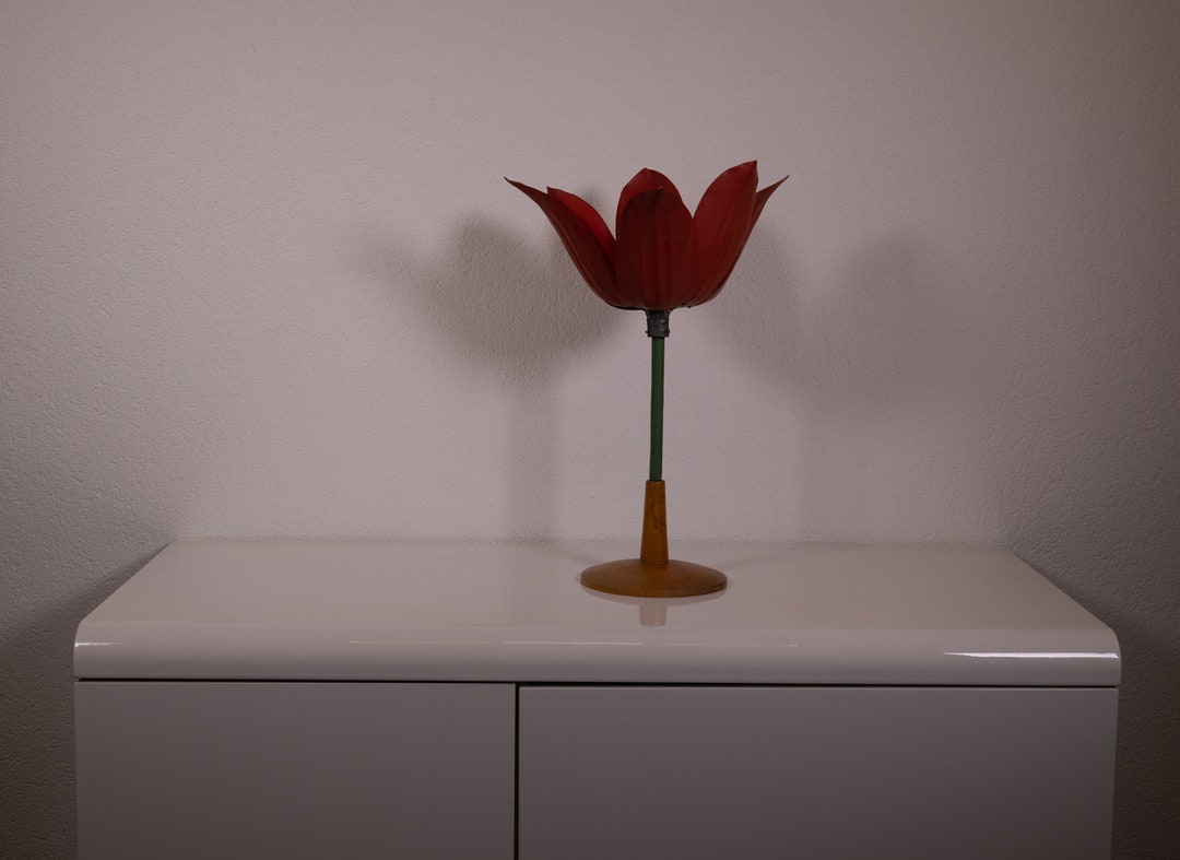 Botanical School Model Tulip Botanical Model . - Etsy